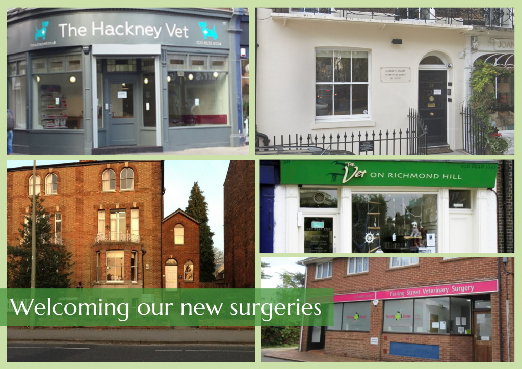 Expanding our network of excellence | DNA Vetcare Group